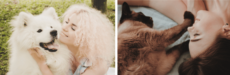 The positive impact of human-animal connection - PetProfessional