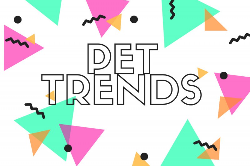 Pet trends to watch in 2020 - PetProfessional